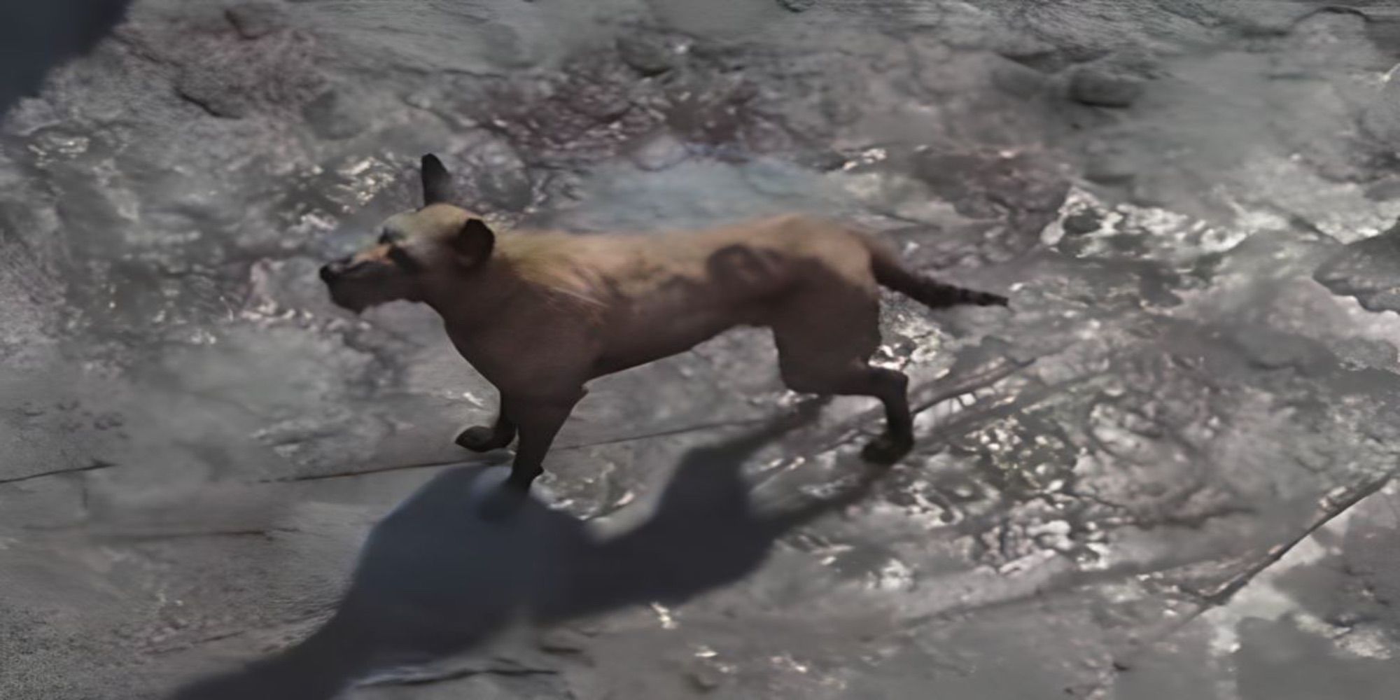 Diablo 4: 10 Best Easter Eggs