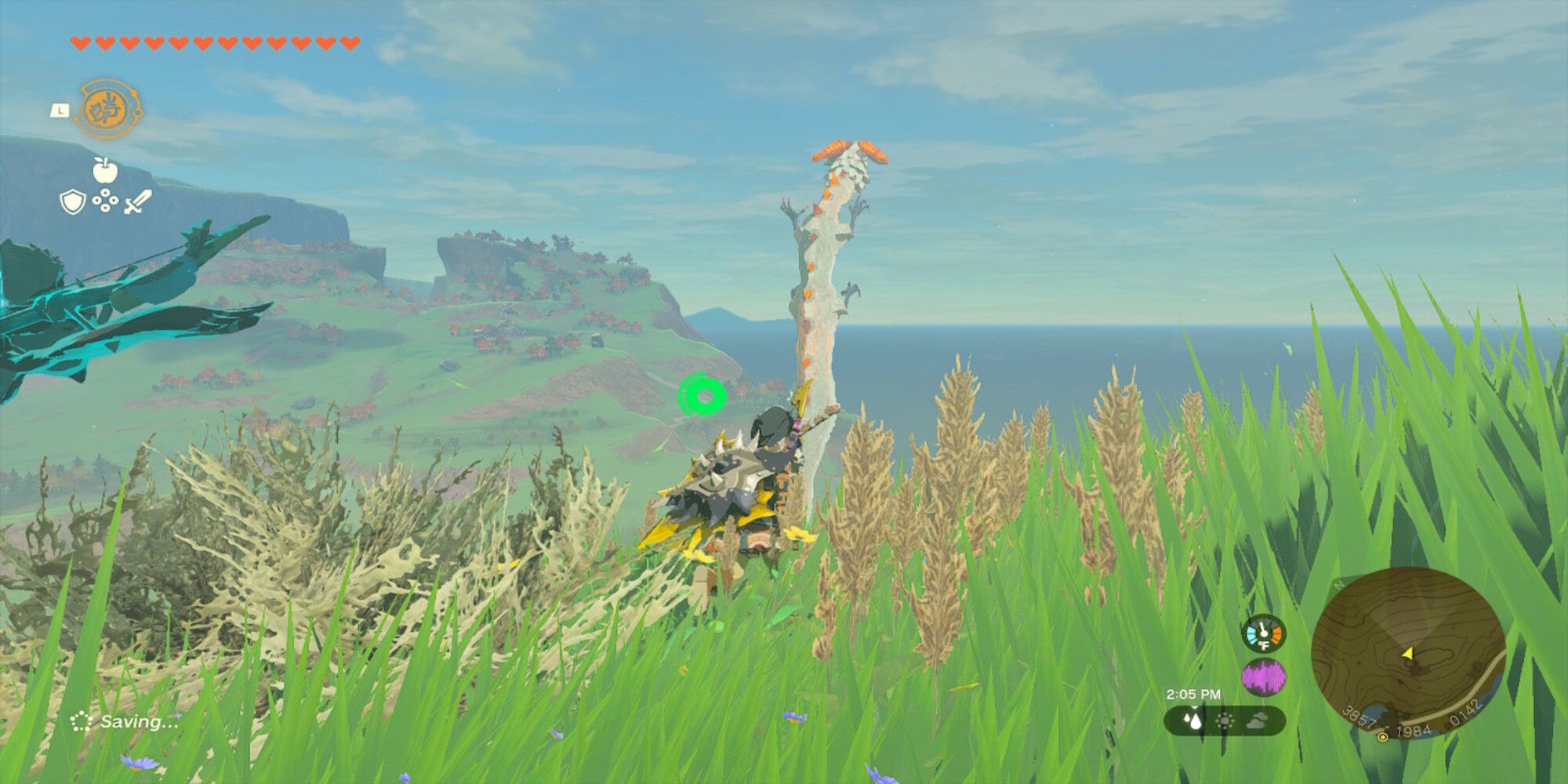 The Legend Of Zelda: Tears Of The Kingdom - All Monster Parts & Effects