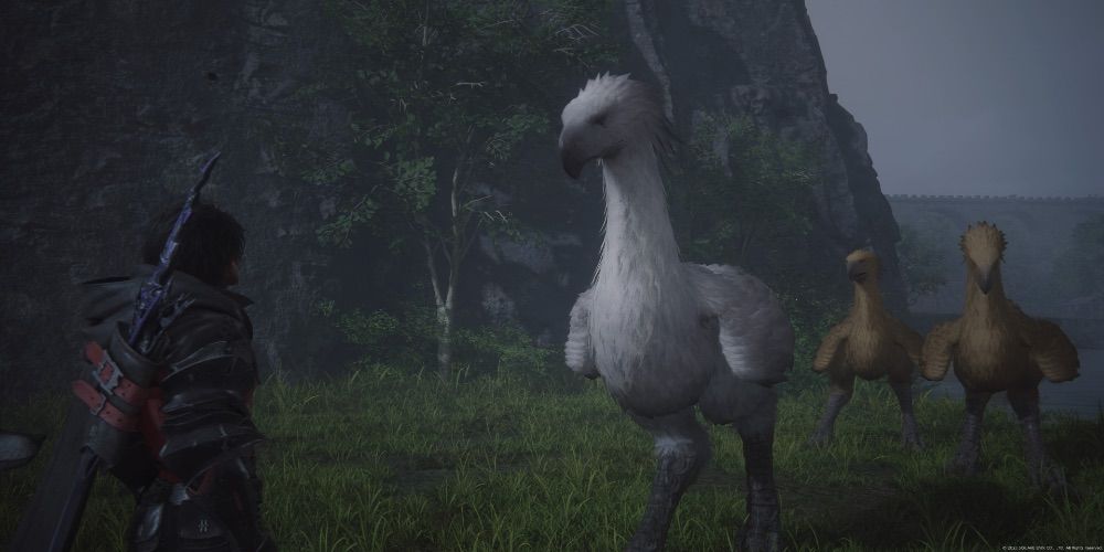 Final Fantasy 16: How To Get A Mount