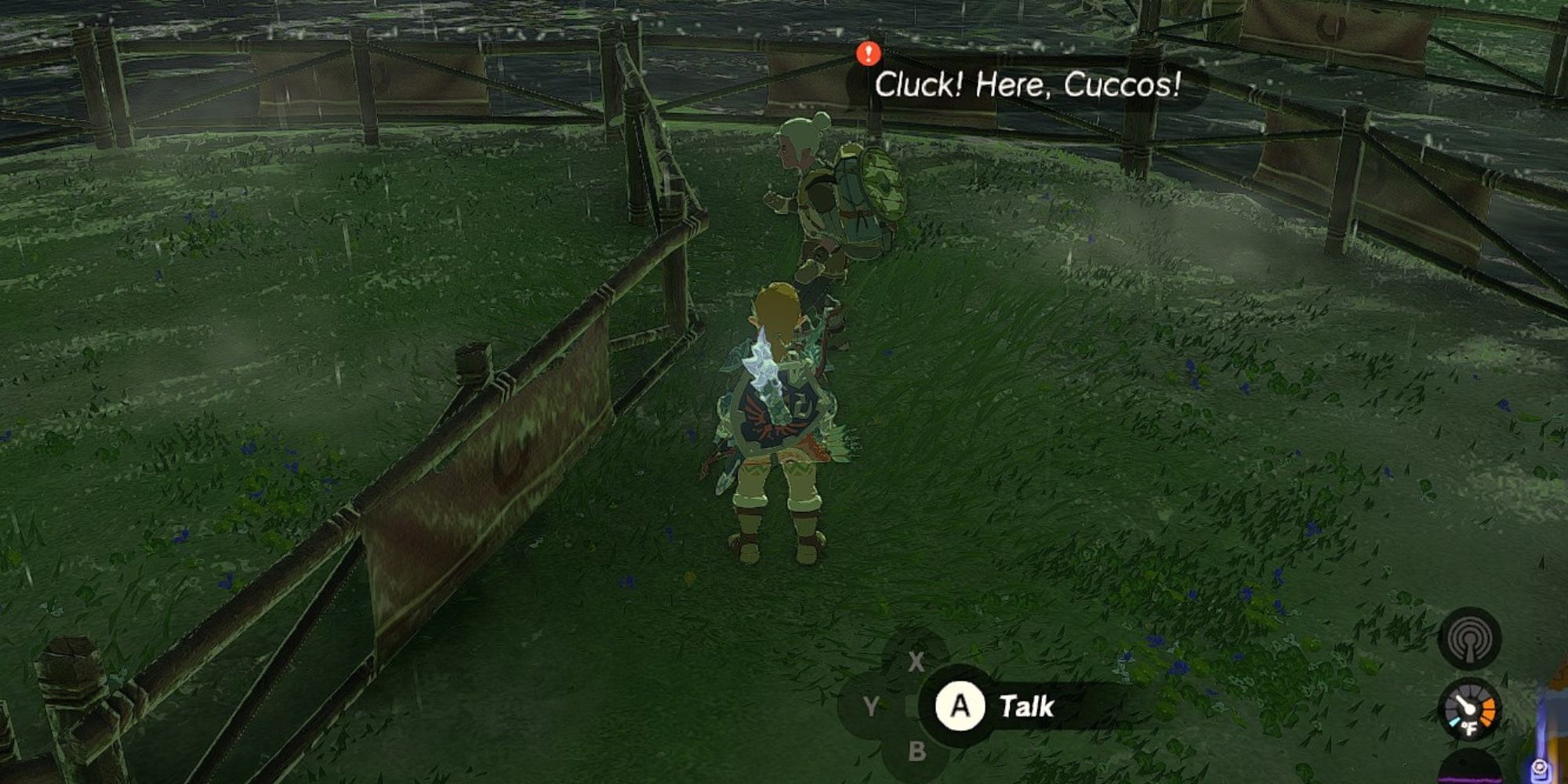 Tears Of The Kingdom - Feathered Fugitives Quest Guide