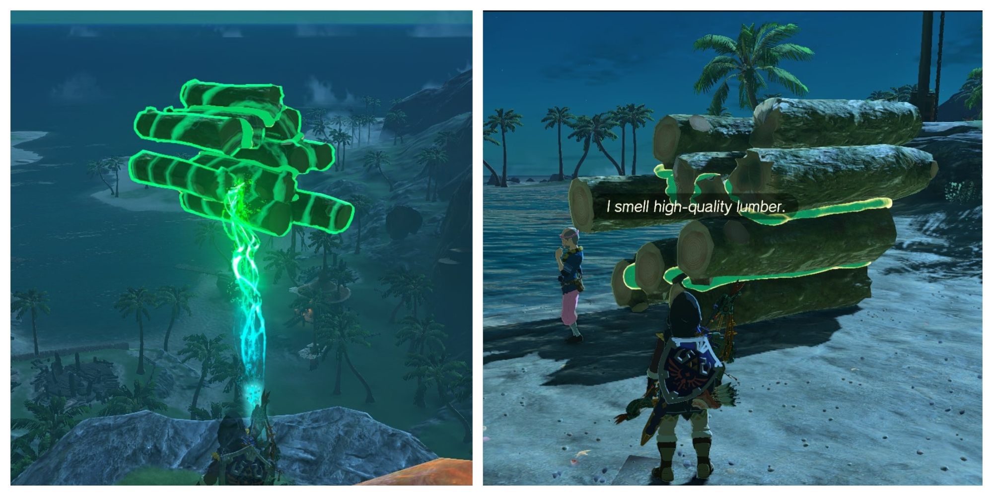 Tears of the Kingdom: Lurelin Village Restoration Project Quest Guide