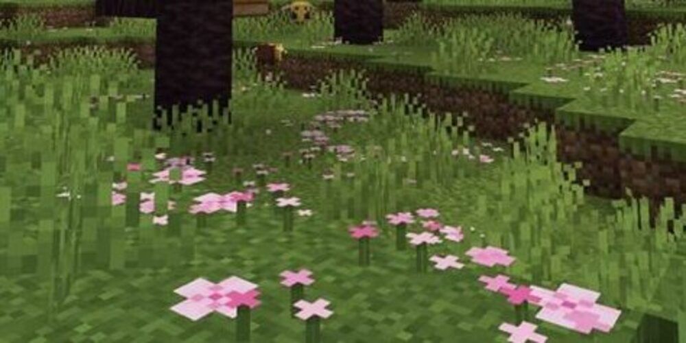Minecraft: All New Trails & Tales Blocks And Where To Find Them