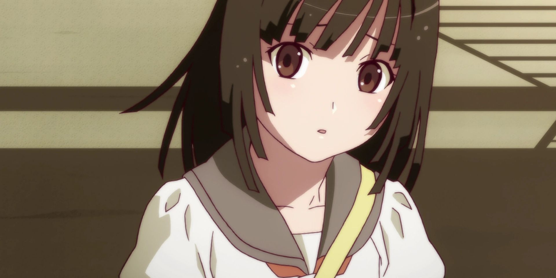 Monogatari Series: 10 Best Characters, Ranked
