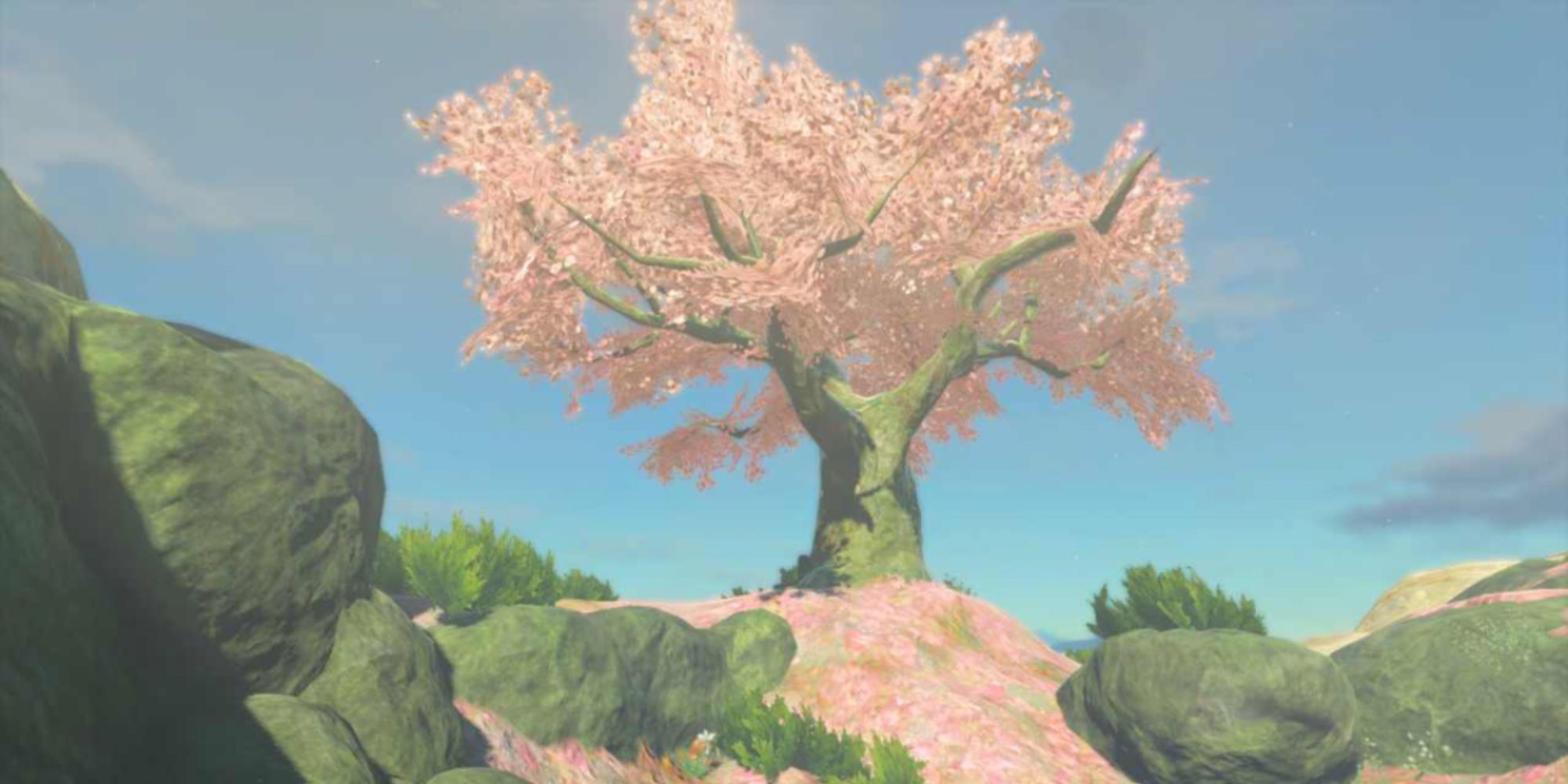 Tears Of The Kingdom - 10 Best Locations, Ranked