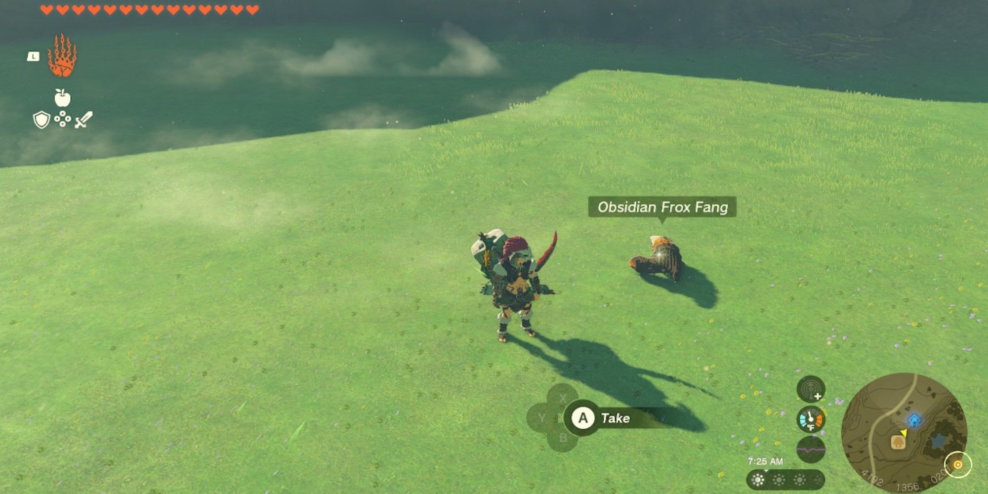 Tears Of The Kingdom: How To Beat Frox