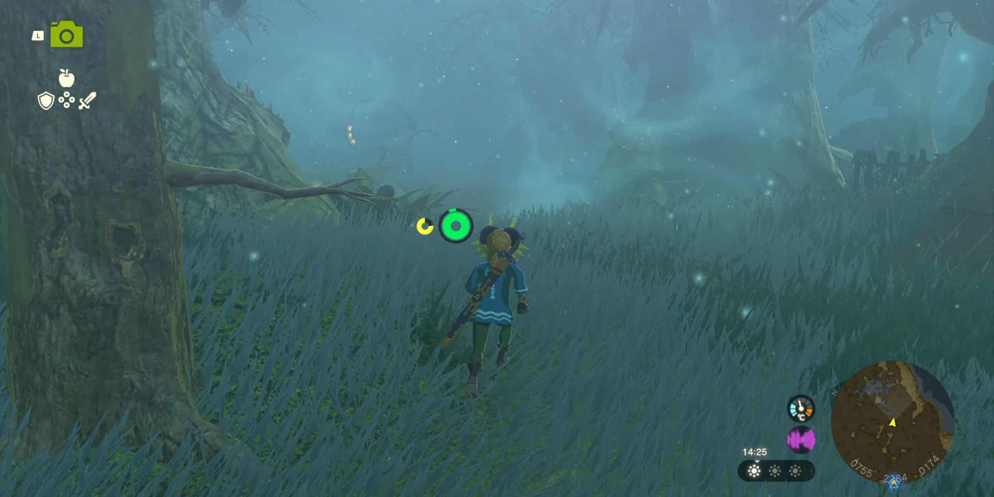 Tears Of The Kingdom: A Pretty Stone And Five Golden Apples Walkthrough