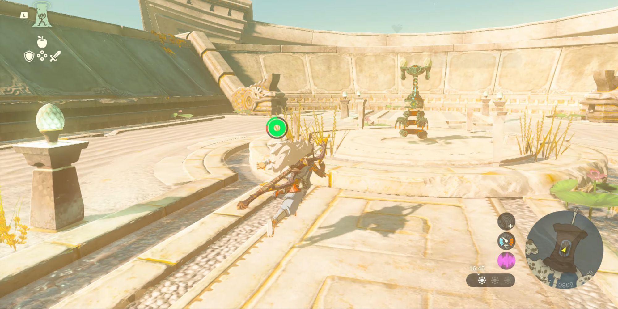 Tears Of The Kingdom - Legend Of The Great Sky Island Walkthrough