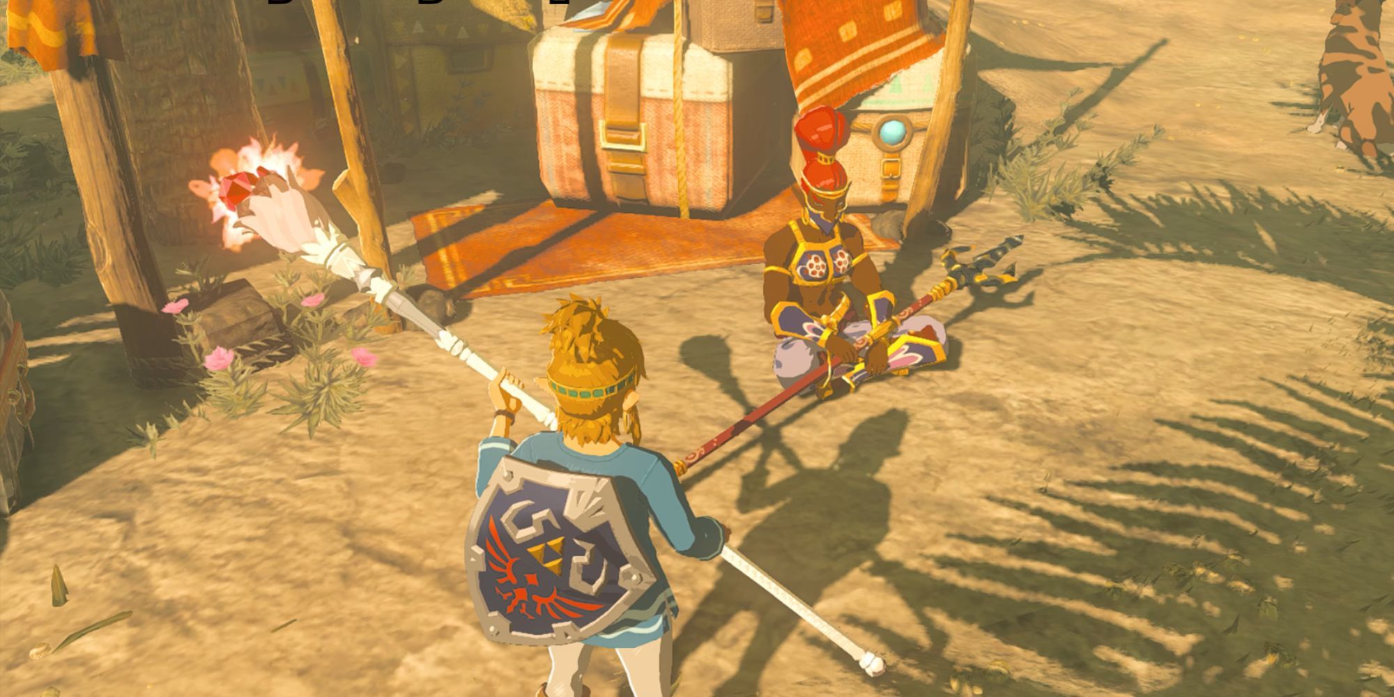 Tears Of The Kingdom - Decorate With Passion Quest Guide