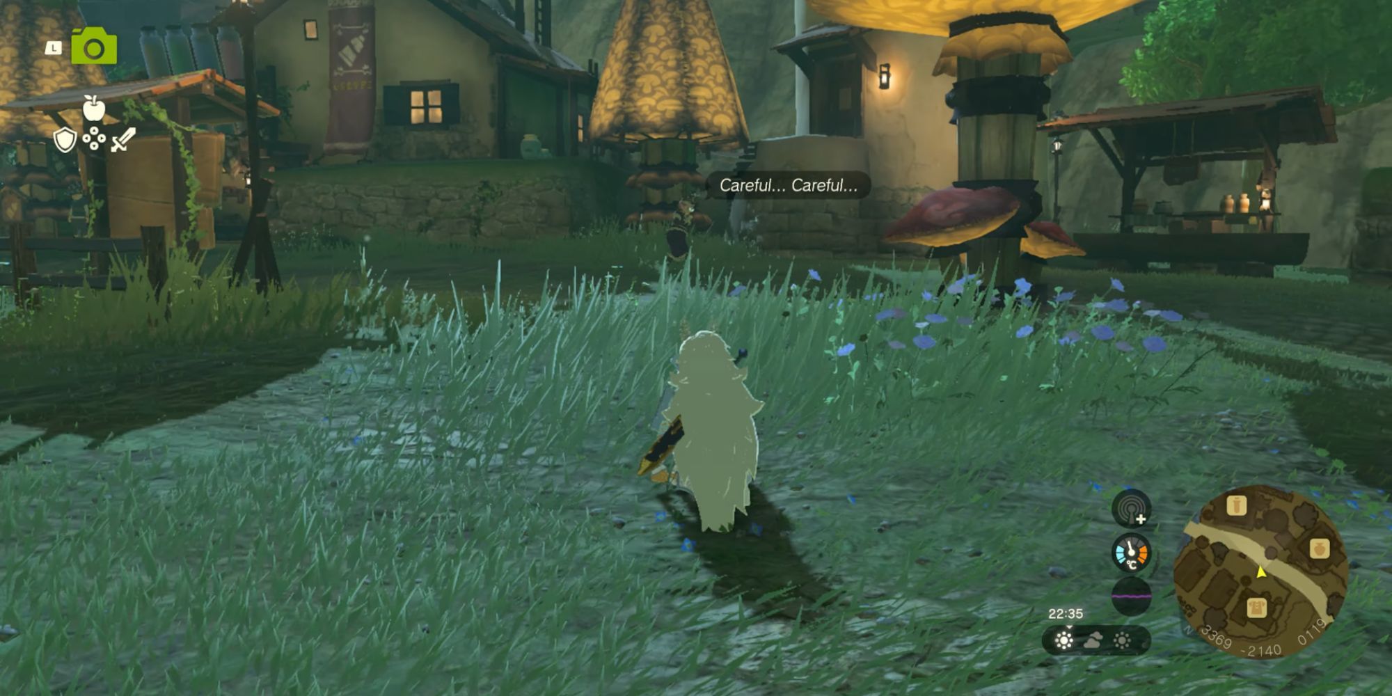 Tears Of The Kingdom - Cece's Secret Walkthrough