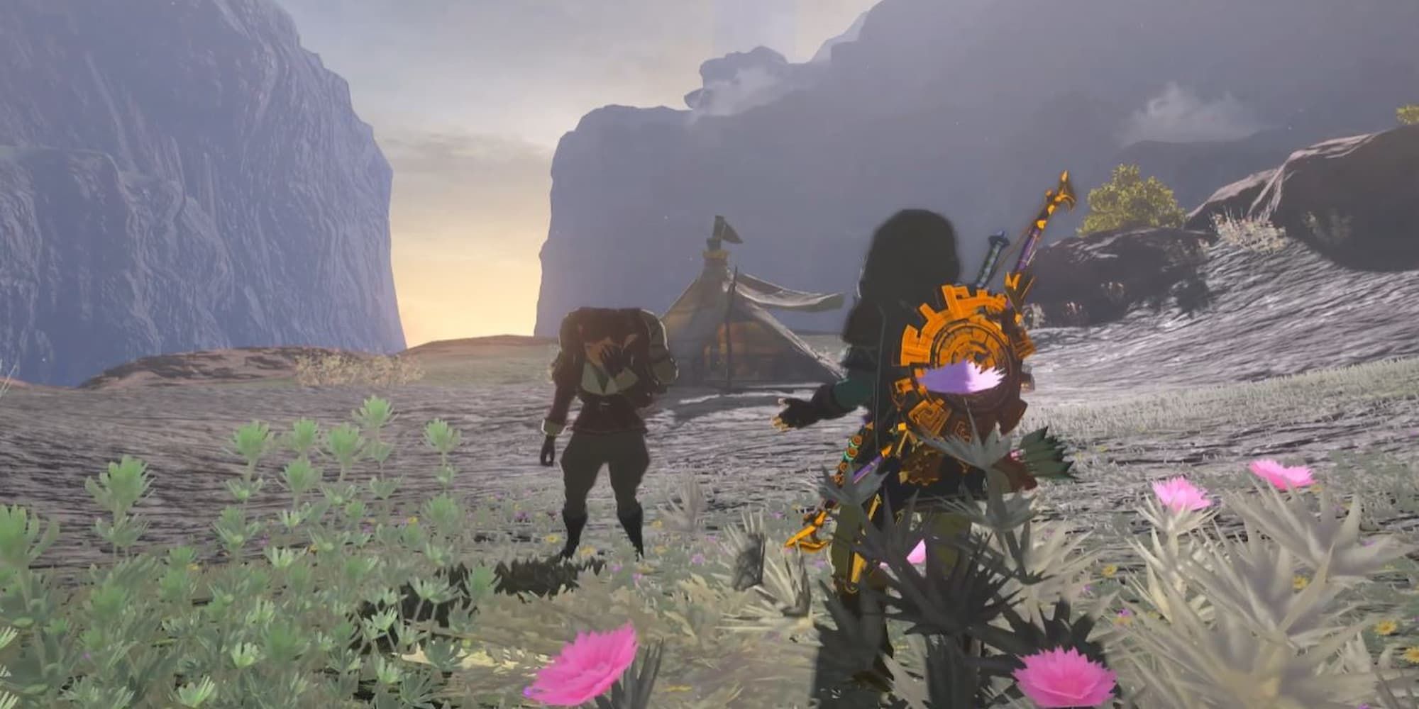 Tears Of The Kingdom: All Colossal Fossil Quests Walkthrough