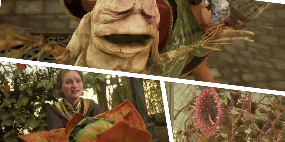 Hogwarts Legacy: 10 Tips & Tricks For Combat