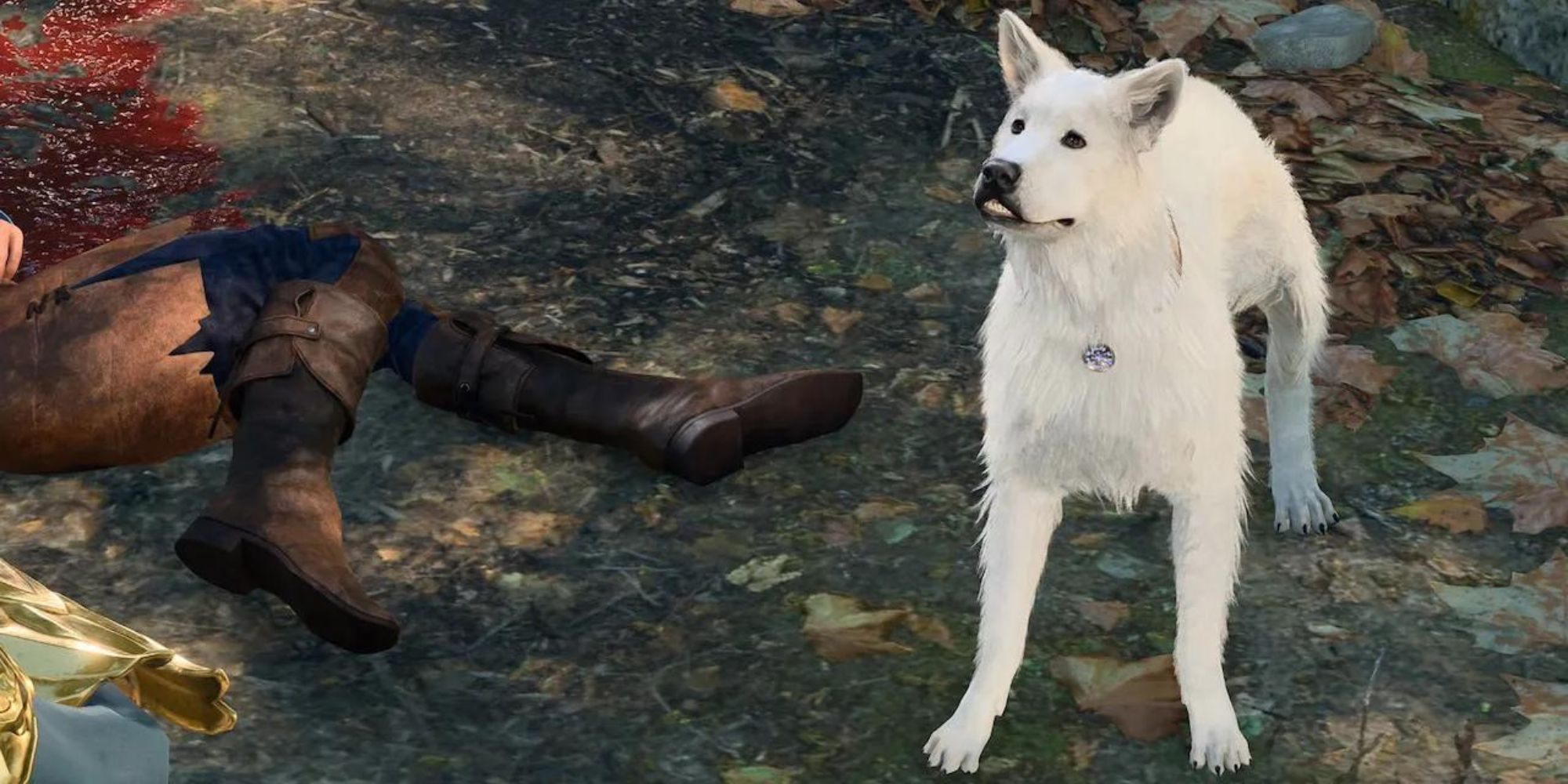 Baldur's Gate 3: 18 Best Skills, Ranked