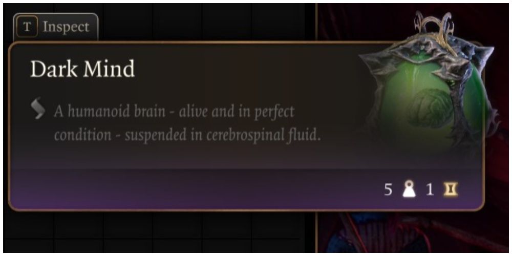 Baldur’s Gate 3: What To Do With Dark Mind?