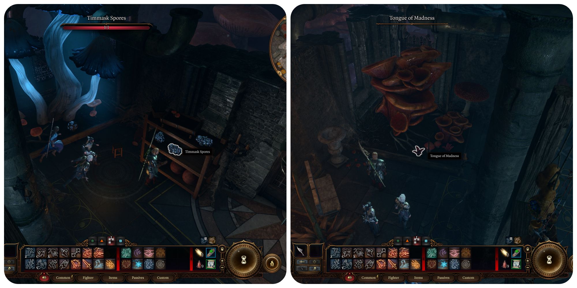 Baldur’s Gate 3: Help Omeluum Investigate The Parasite Walkthrough