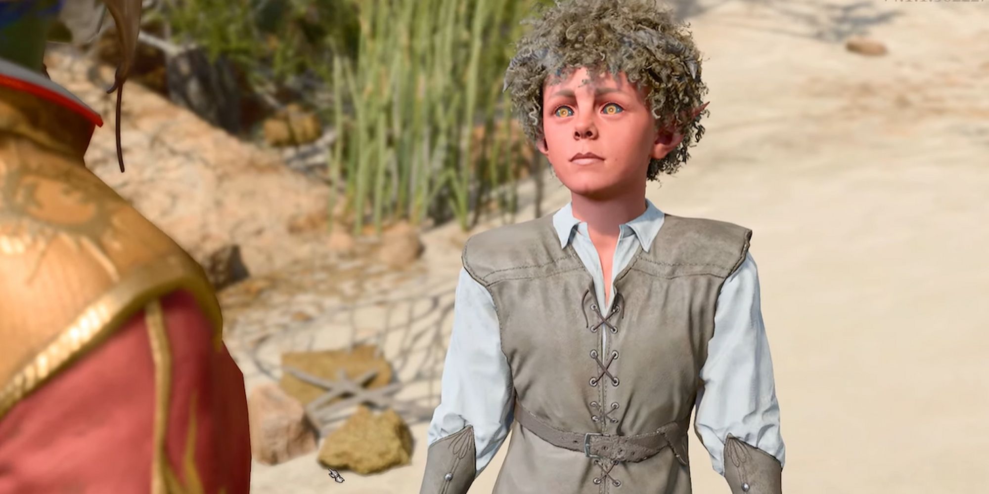 Baldur's Gate 3: Investigate The Beach Walkthrough