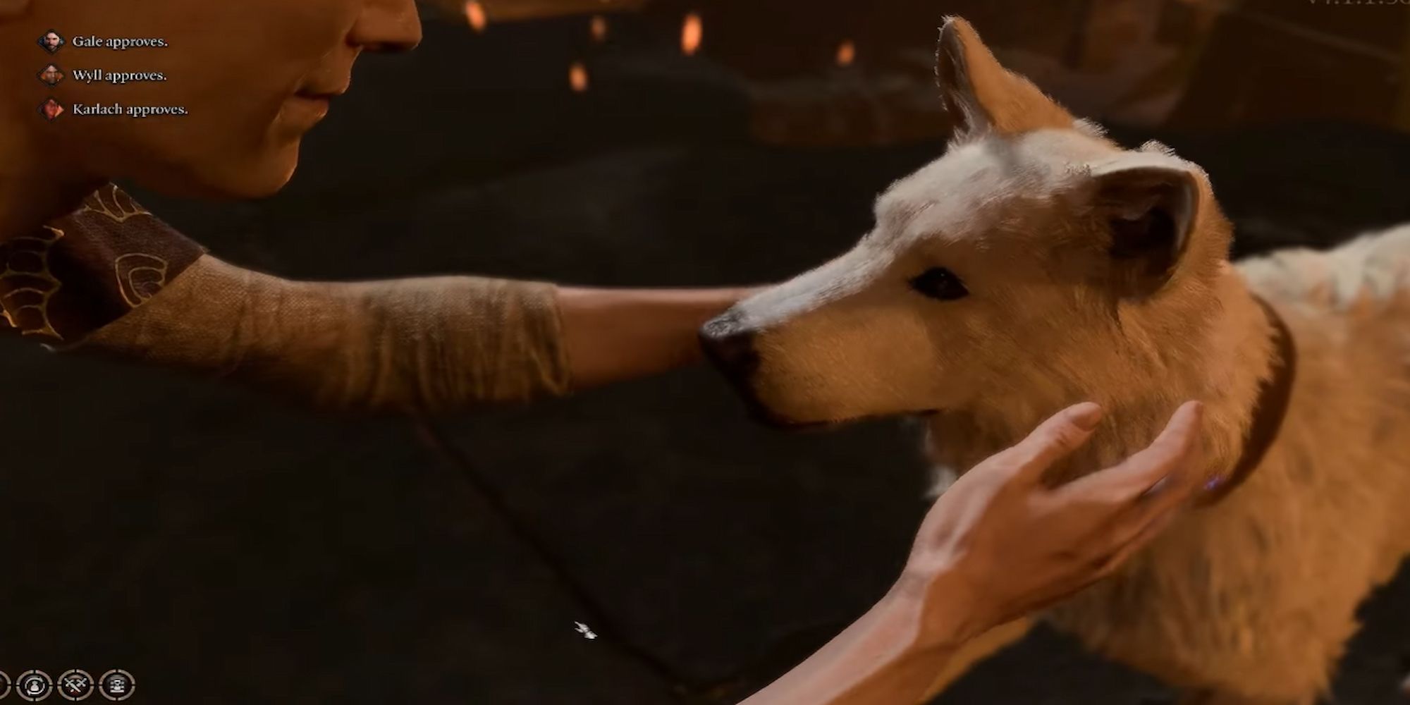 Baldur's Gate 3: Where To Find Scratch The Dog Companion