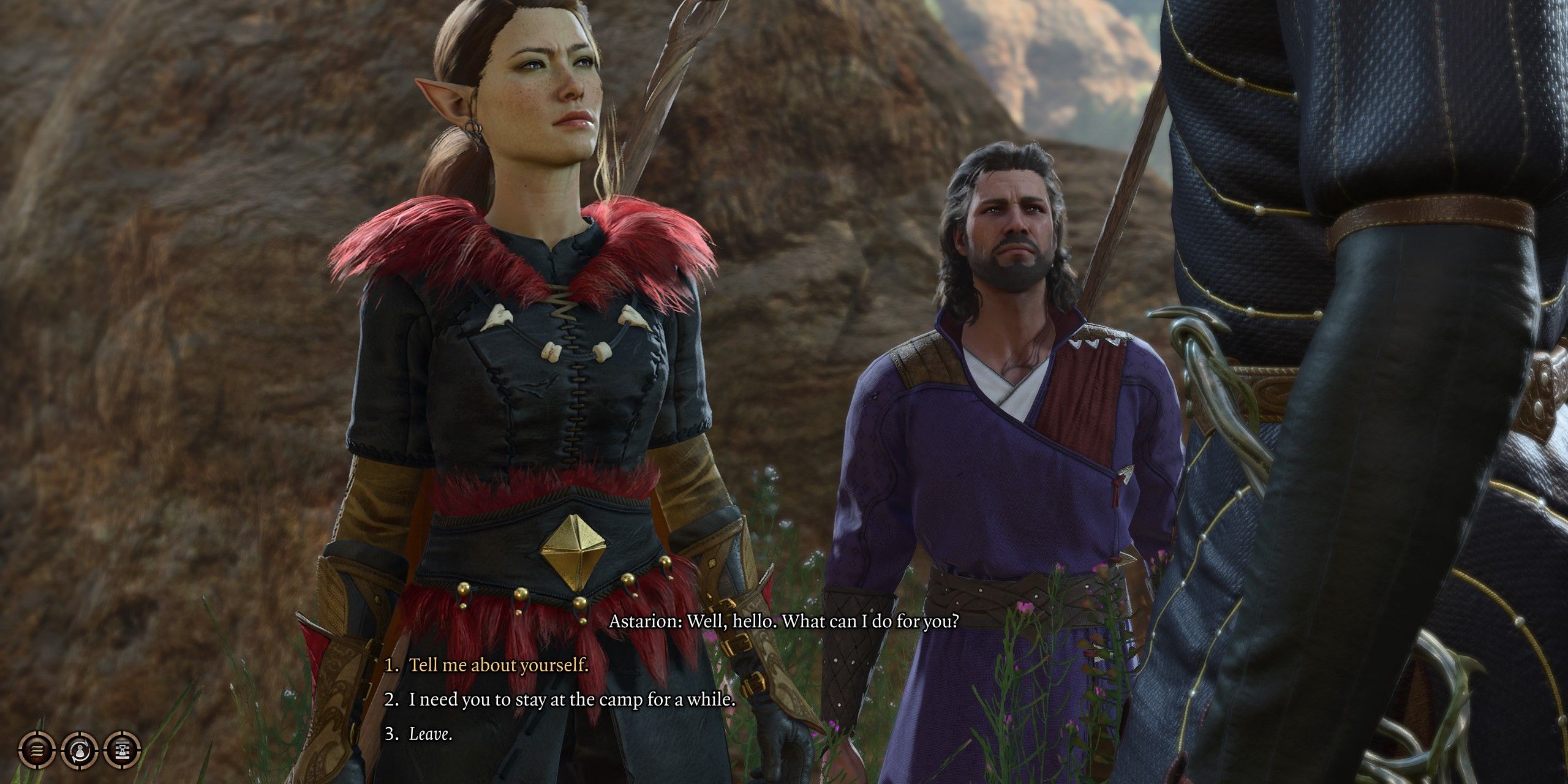 Baldur's Gate 3: How To View The Dialogue History