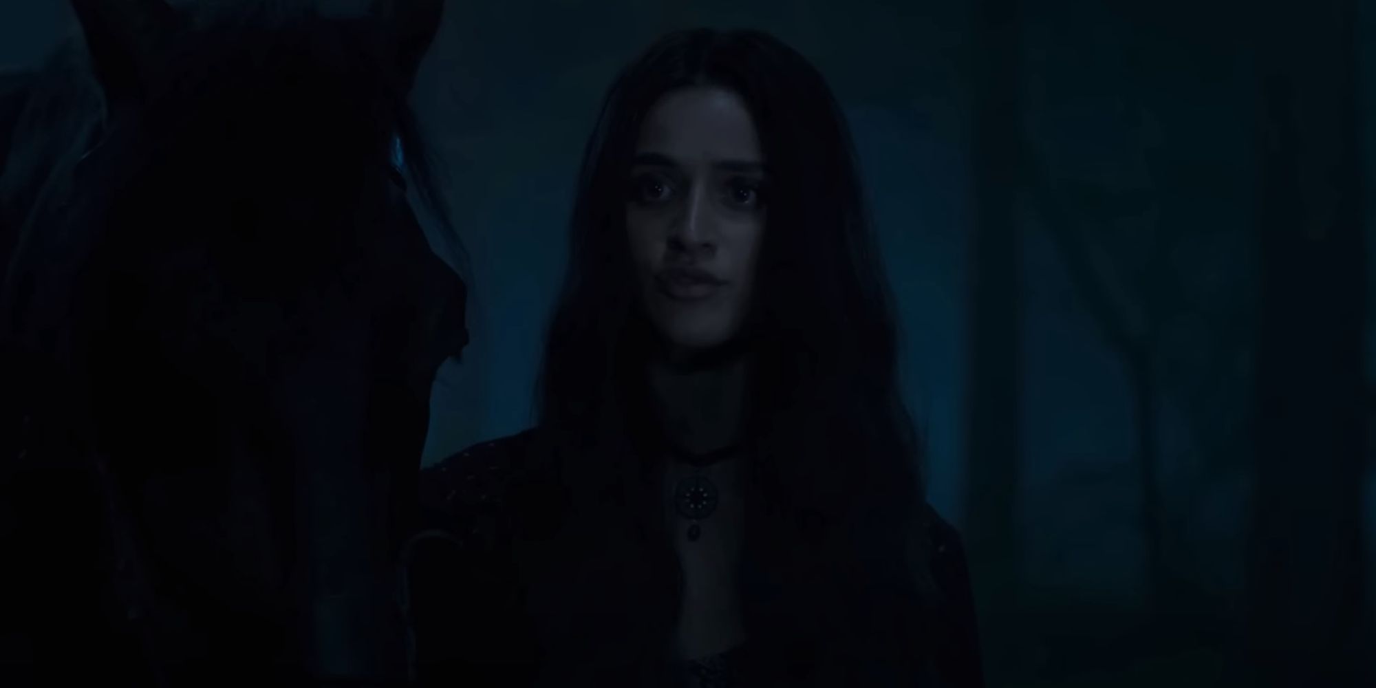 The Witcher Season 3 Who Is Leo Bonhart
