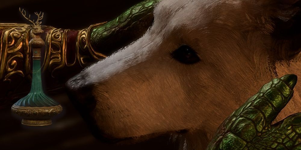 Baldur's Gate 3: 10 Best Potions, Ranked