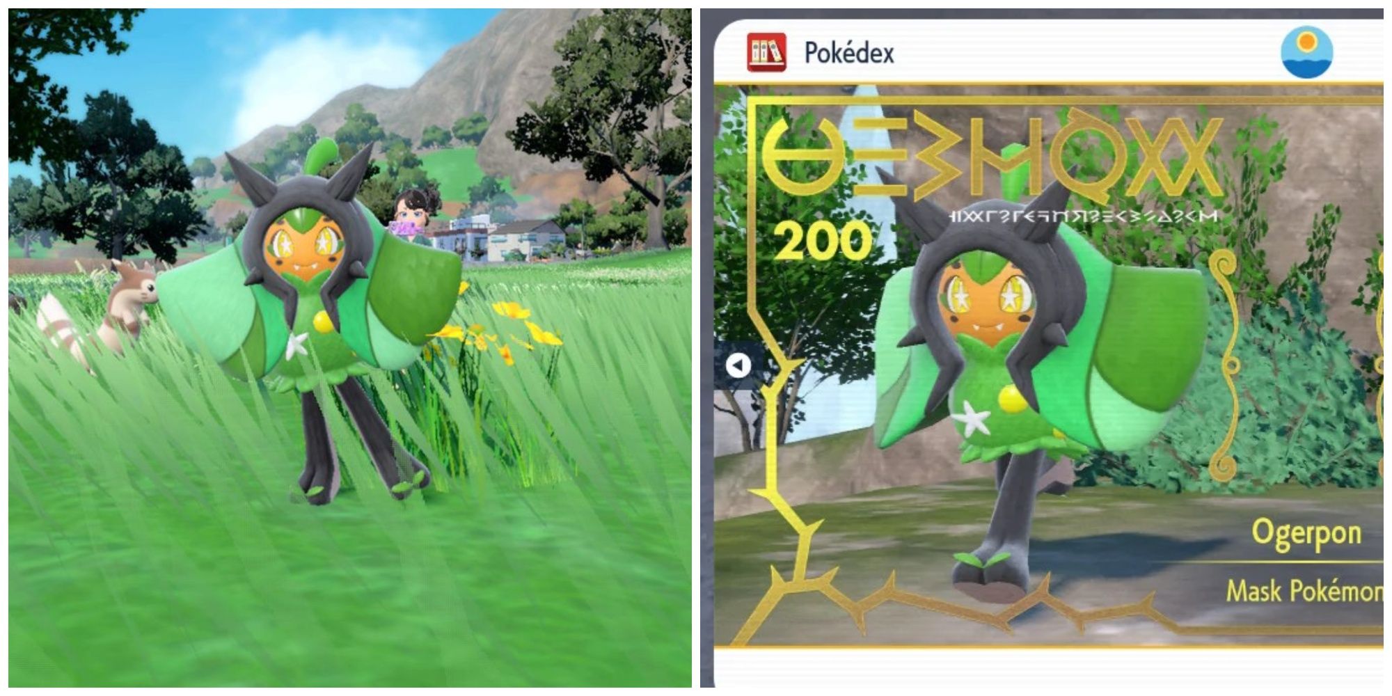 Pokemon Scarlet & Violet DLC: How To Catch Ogerpon