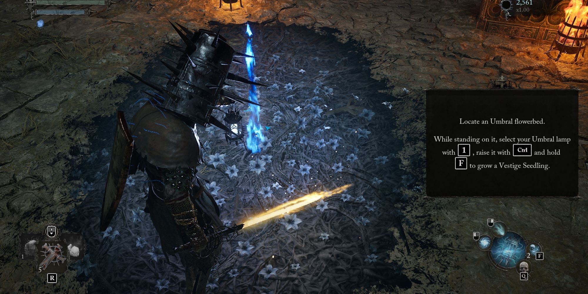 Lords Of The Fallen: How To Place Vestige Seedlings