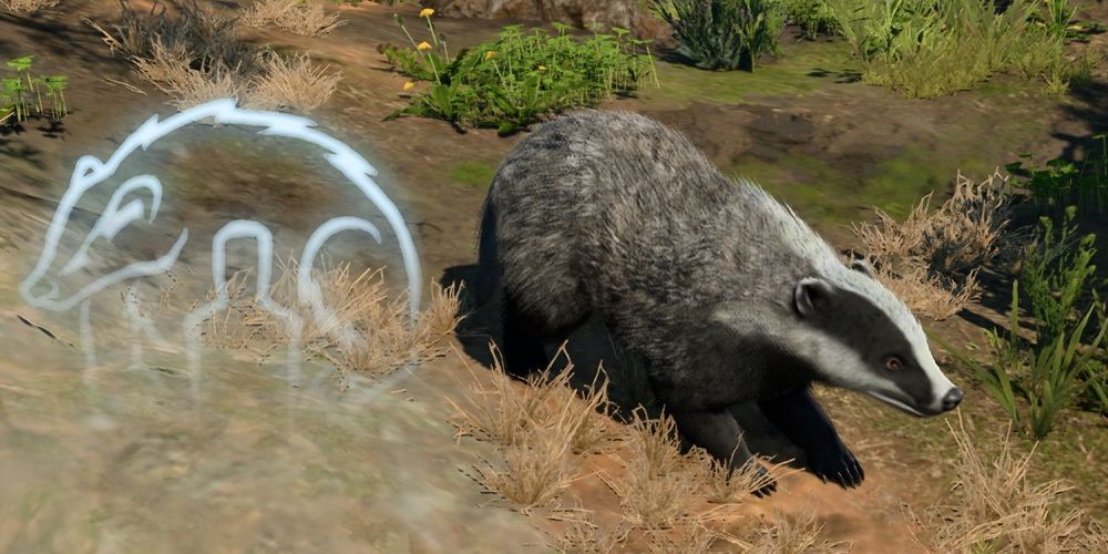 Baldur's Gate 3: 10 Best Wild Shapes, Ranked