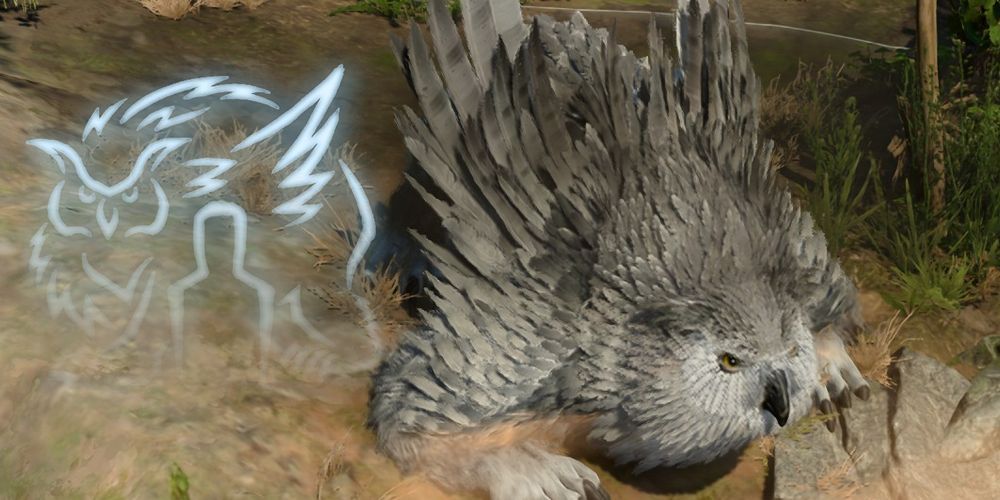 Baldur's Gate 3: 10 Best Wild Shapes, Ranked