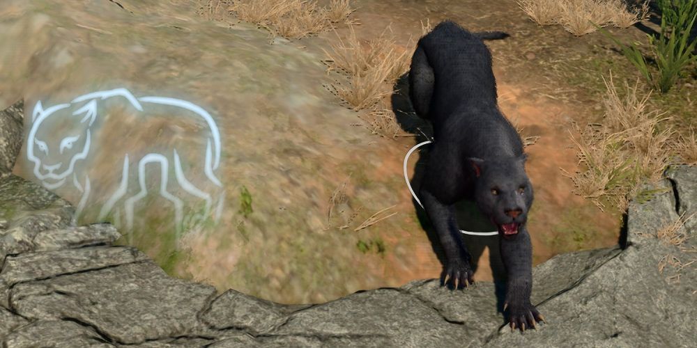 Baldur's Gate 3: 10 Best Wild Shapes, Ranked