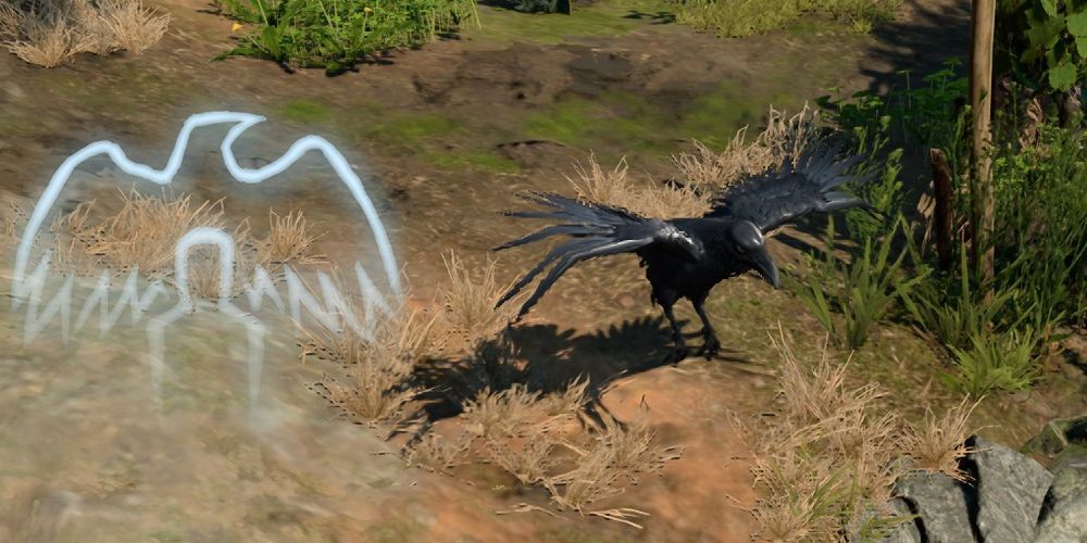 Baldur's Gate 3: 10 Best Wild Shapes, Ranked