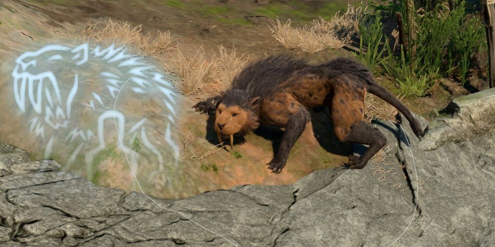 Baldur's Gate 3: 10 Best Wild Shapes, Ranked