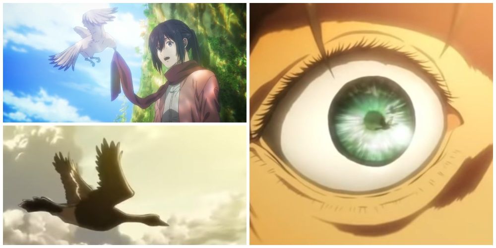 Attack On Titan: The Connection Between Eren And Birds Explained