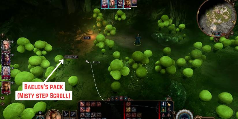 Baldur's Gate 3: How To Get & Use Noblestalk