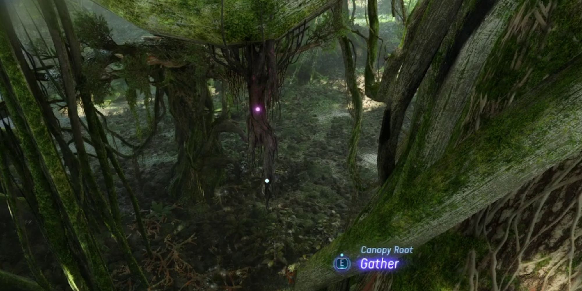 Avatar: Frontiers Of Pandora - Where To Get Canopy Roots