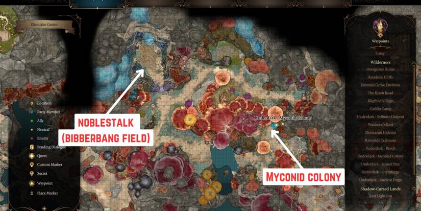 Baldur's Gate 3: How To Get & Use Noblestalk