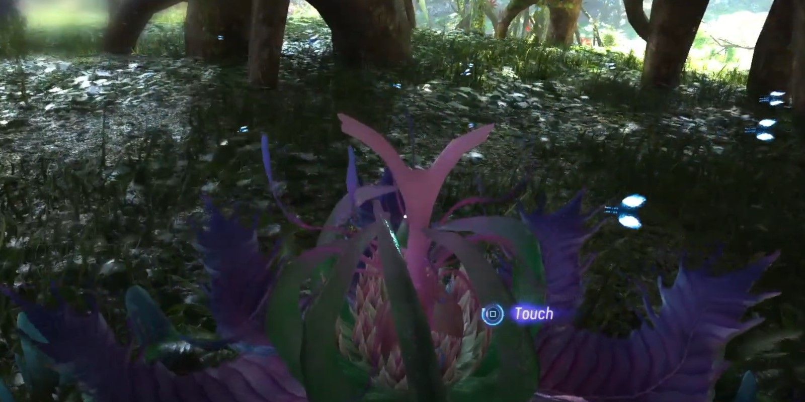 Avatar: Frontiers Of Pandora - All Tarsyu Sapling Locations