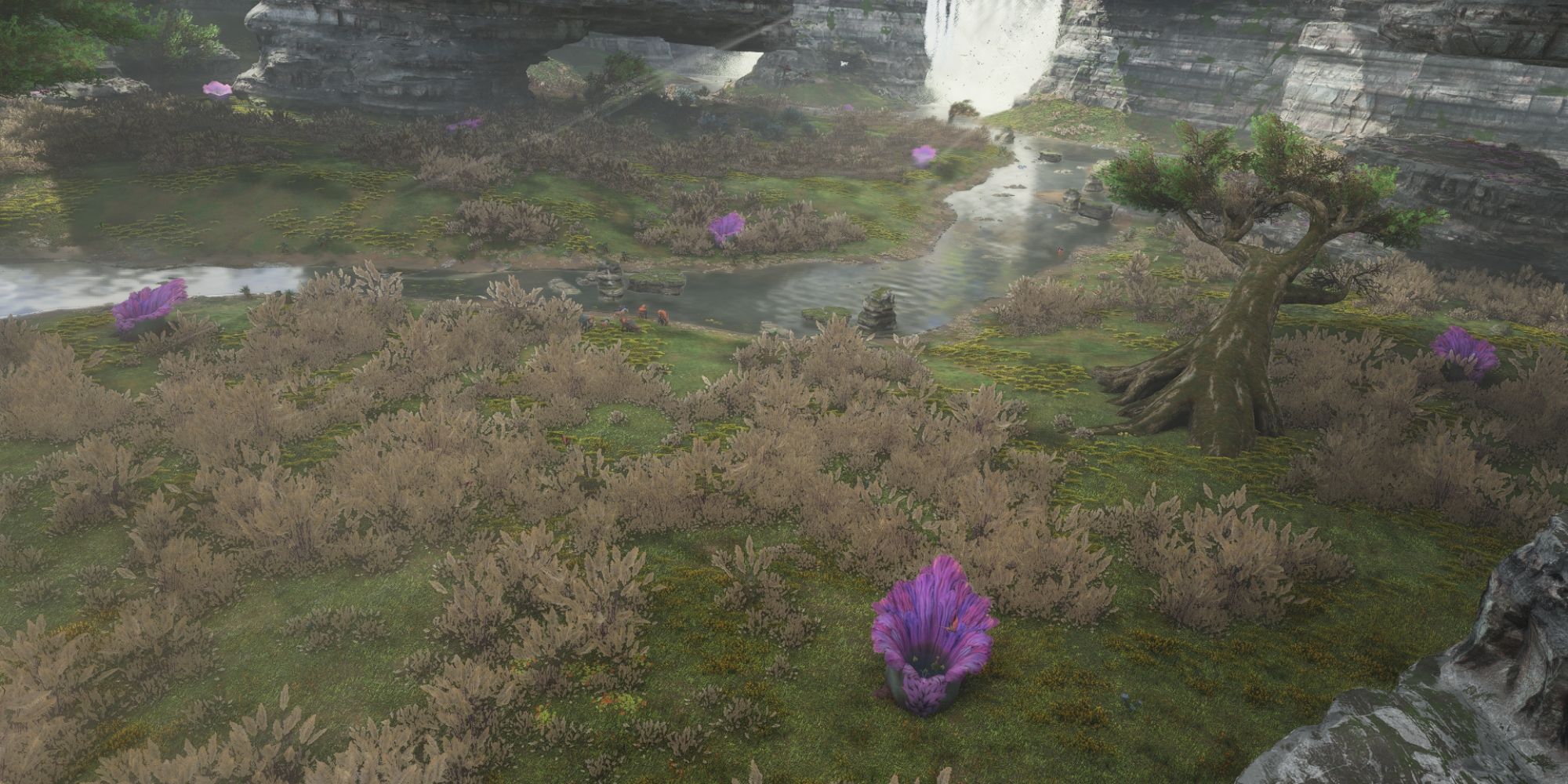 Avatar: Frontiers Of Pandora - Where To Find Tranquility Bulb