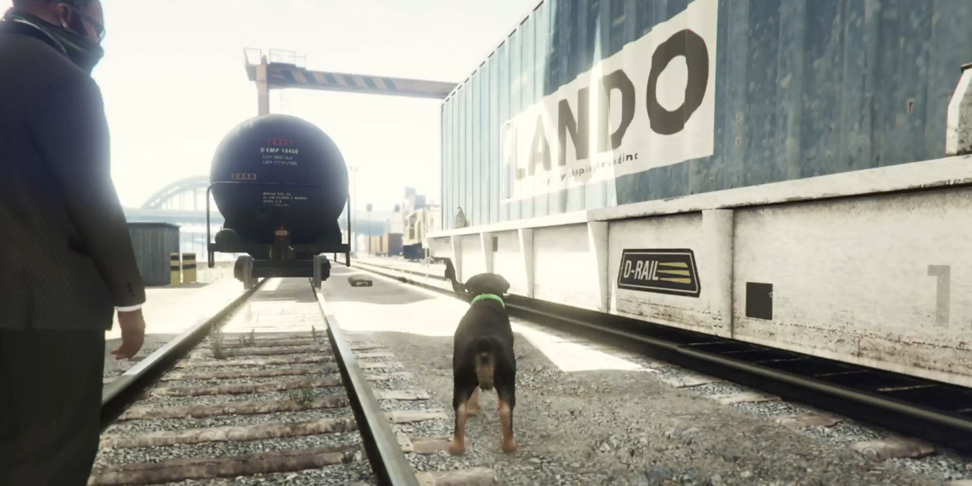 Anyone Else Got An Urge To Play As An Alligator In GTA 6?