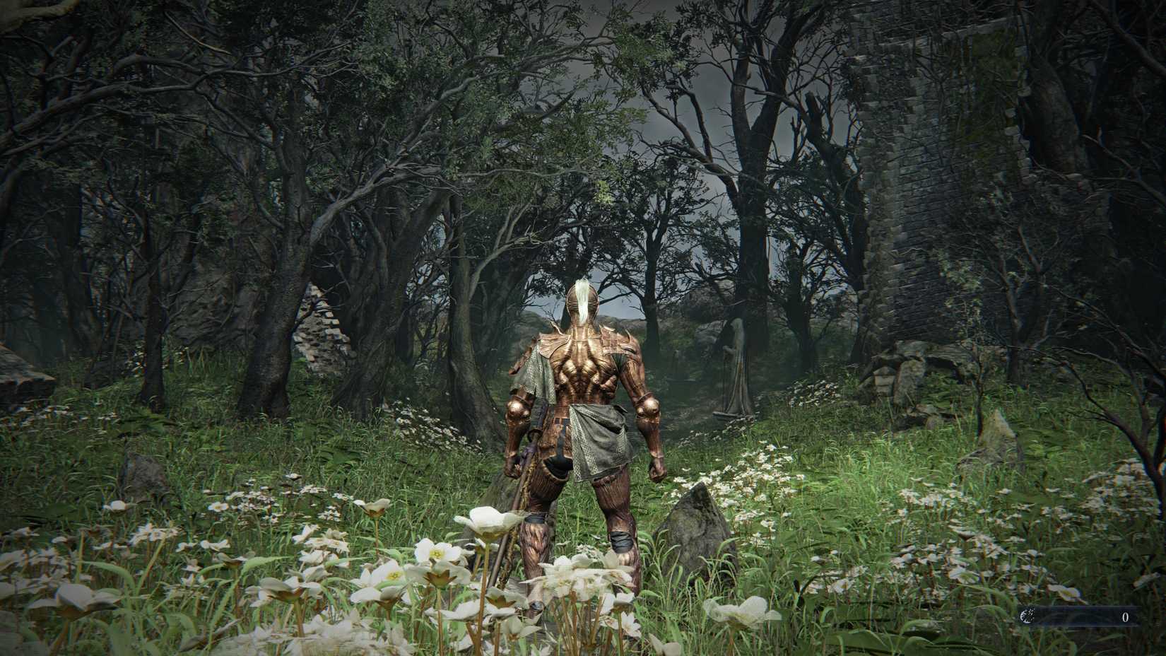 Elden Ring Nightreign: 15 Essential Beginner Tips