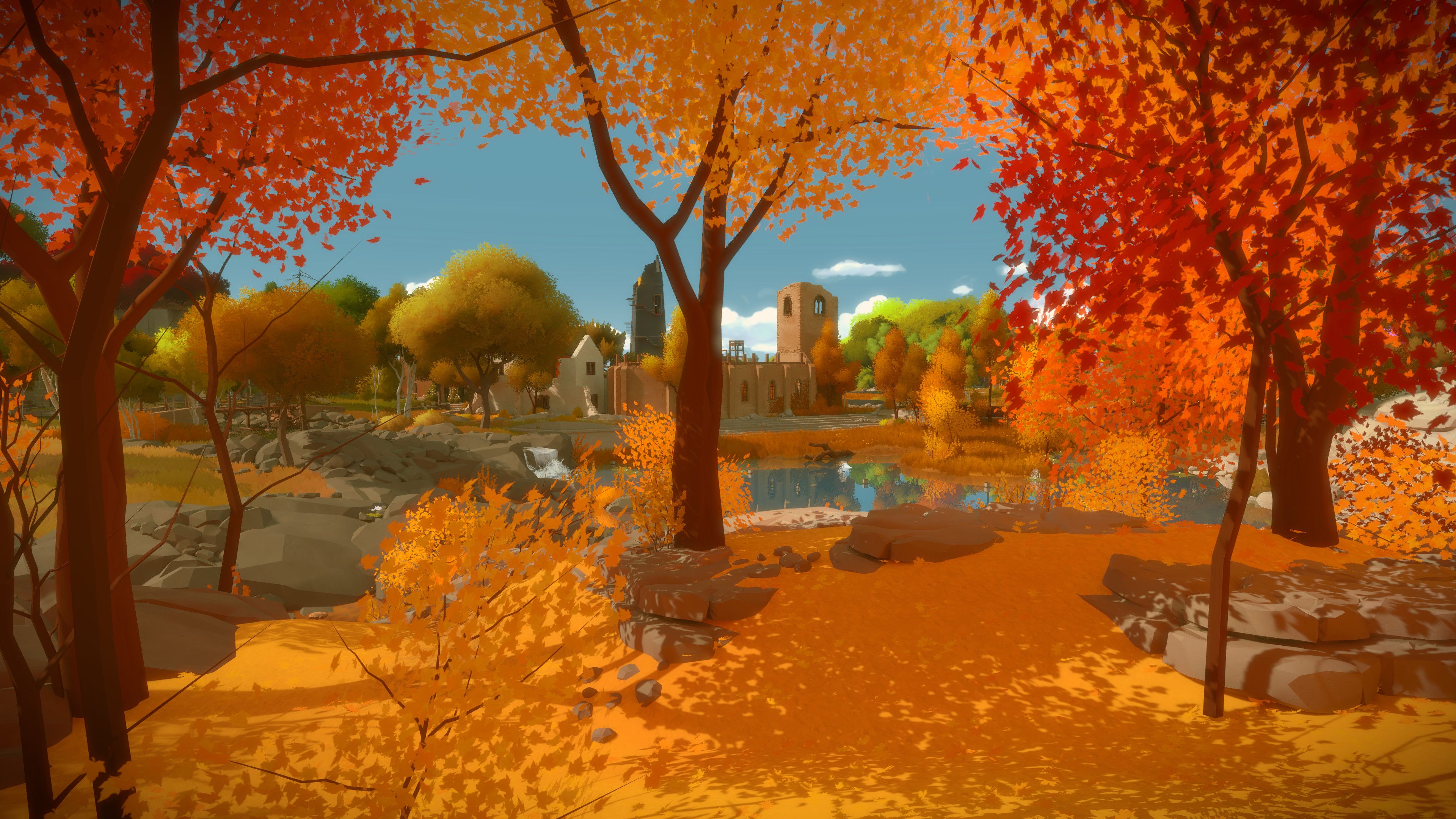 The Witness Review -- We're All Witnesses
