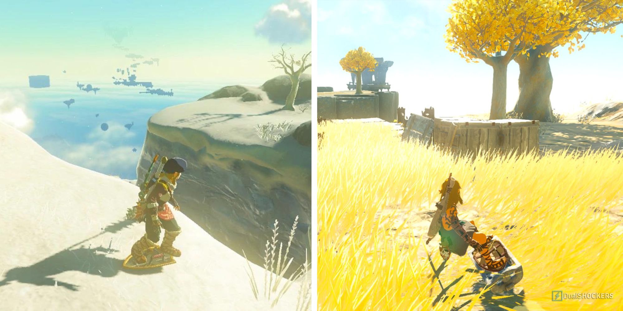 Tears Of The Kingdom - How To Shield Surf