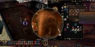 Baldur s Gate 3 Where To Use Strange Flower Key Baldur s Gate 3 Where To Use Strange Flower Key