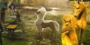 Hogwarts Legacy How To Breed Beasts Hogwarts Legacy How To Breed Beasts