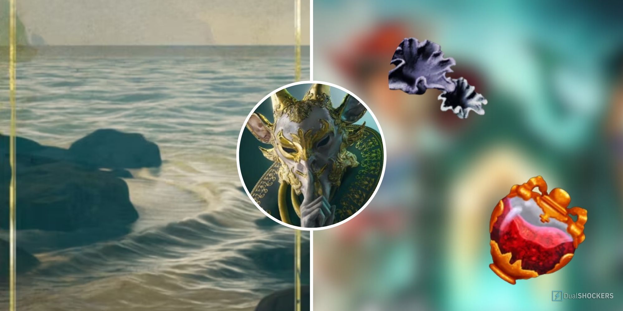 Nightingale: How To Get Coral