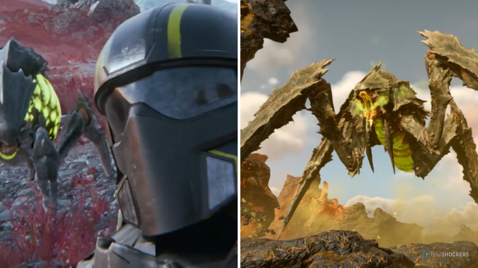 Helldivers 2 Player Befriends A Terminid in Hilariously Wholesome Sketch